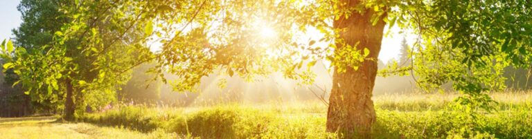 Corson Cramer Development | Investor Portal Login